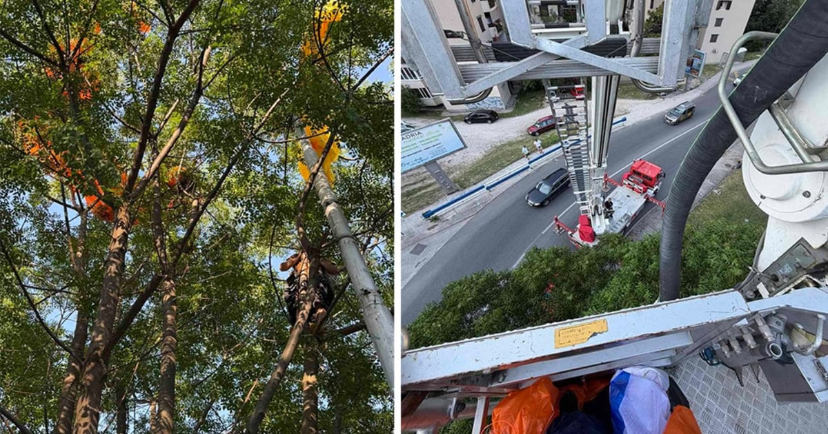 Paraglajder sletio u krošnju drveta kod škaljarskog Dom